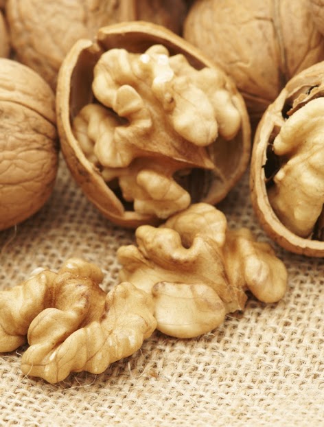 Ιστορία του Καρυδιού – ΚΑΡΥΟΝ – greekwalnuts.gr